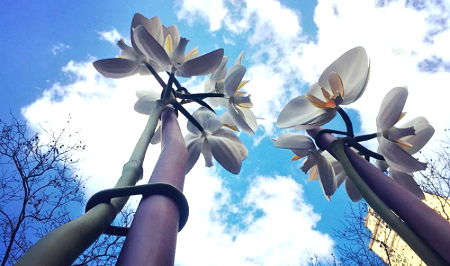 Check Out These Incredible 30-Foot-Tall Metal Orchids in Central Park ...