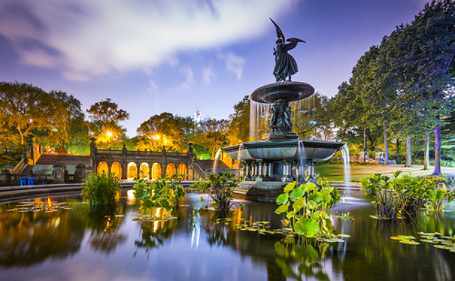 8 Incredible Things You Gotta Do in the Bronx This Summer | spoiled NYC