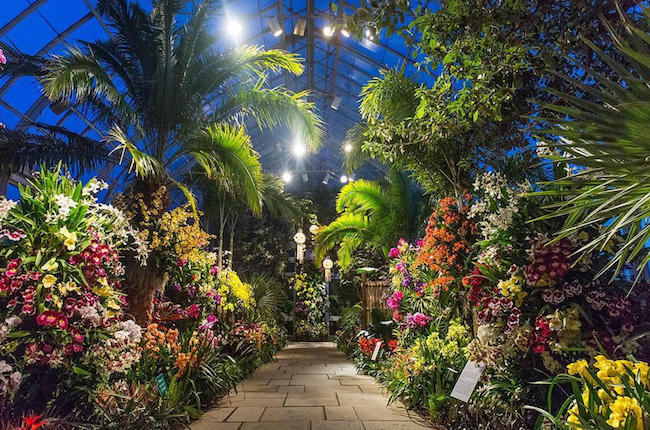 5 Things You Seriously Have to Cross off Your Bronx Bucket List This ...