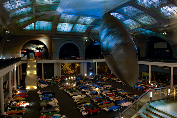 Night At The Museum: Sleepover For Grown Ups | spoiled NYC