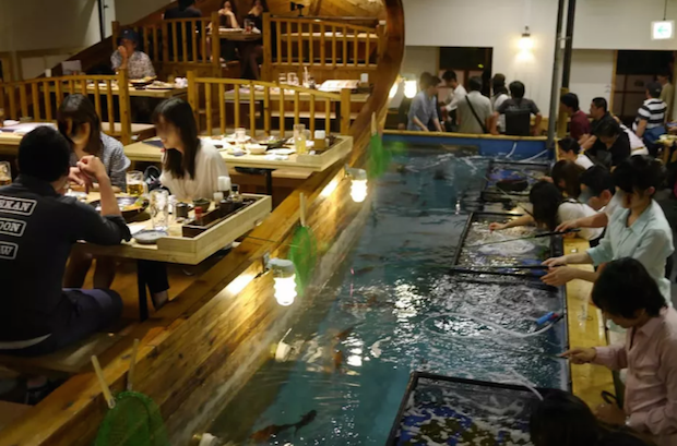 You Can Catch Your Own Fish at This Japanese Restaurant Coming to ...