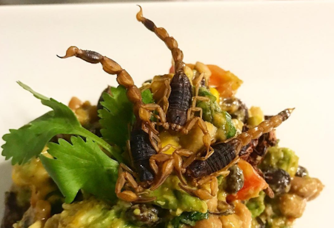 There's a Bug Eating Food Festival Going Down in Brooklyn This Weekend ...