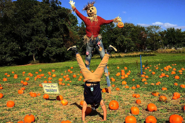 11 Things to Cross off Your Staten Island Bucket List This Fall ...